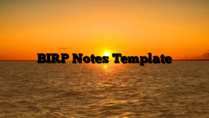 How to Write PIRP Notes (with Examples) - BirpNotes